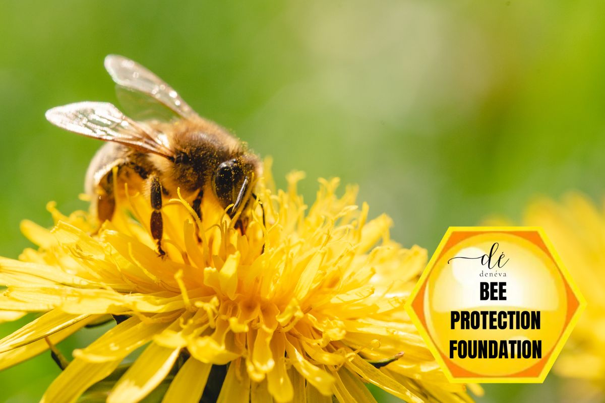 Bee Protection Foundation – deneva skincare